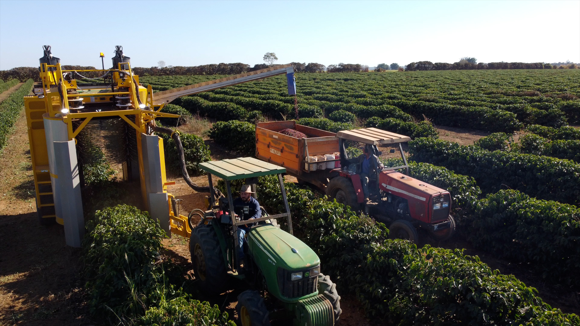 Coffee Harvesting - Oxbo International