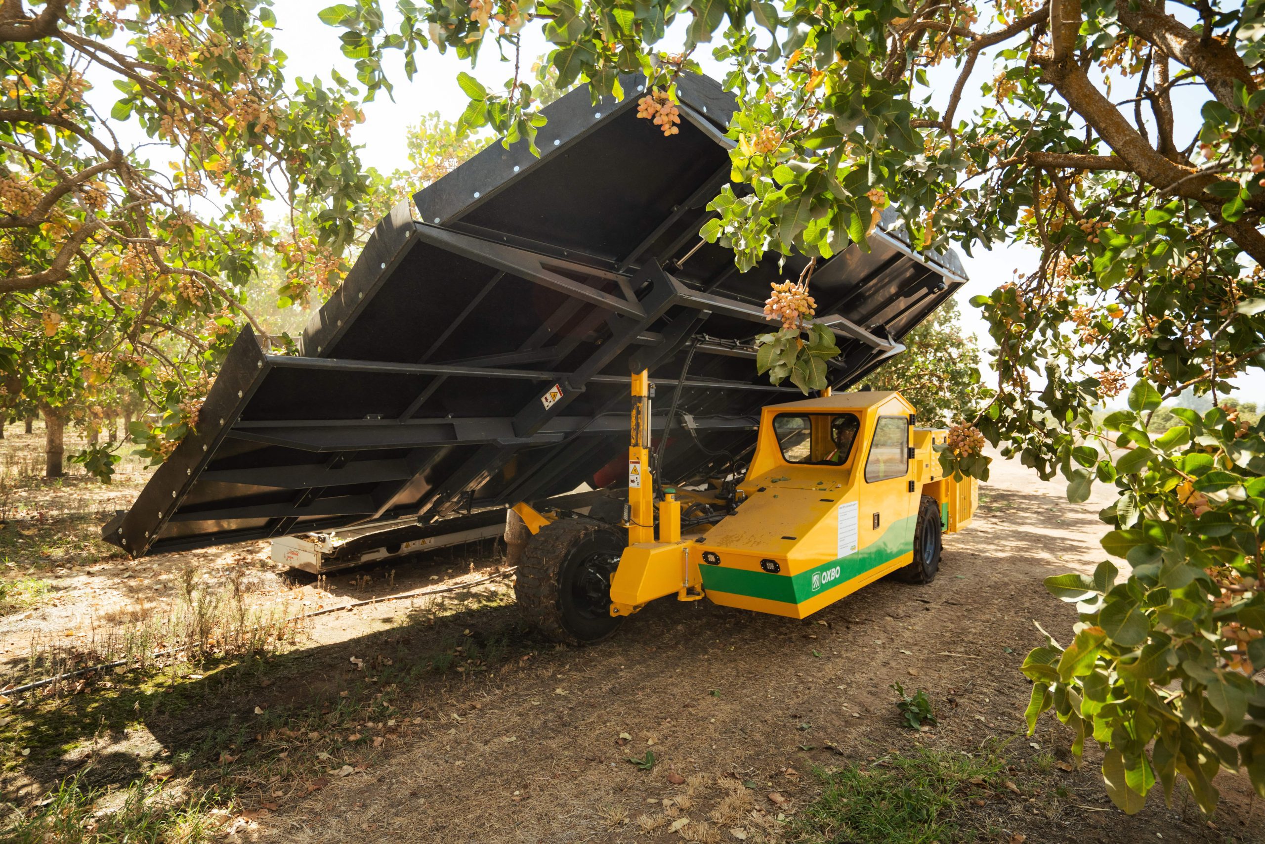 Belkorp Ag Named New Oxbo Dealer for Pistachio Equipment - Oxbo ...